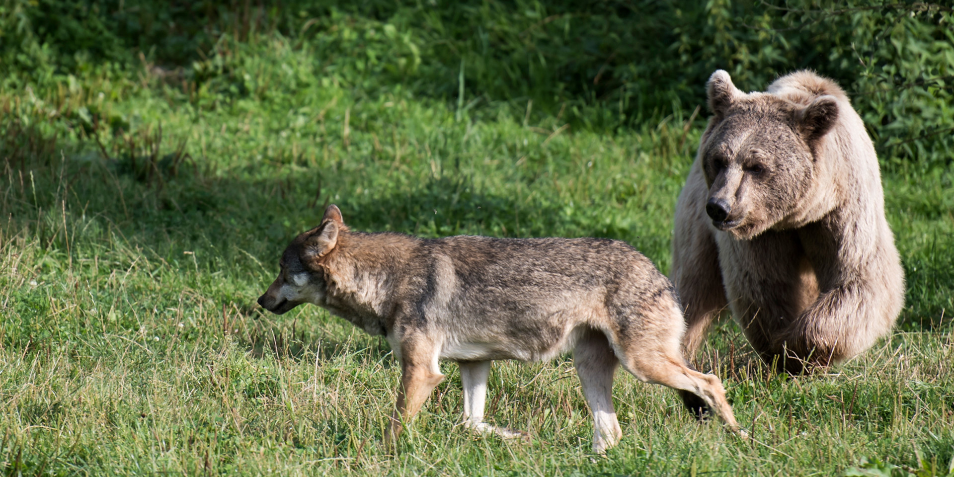 Natur- und Tierpark Goldau: Herzlich willkommen