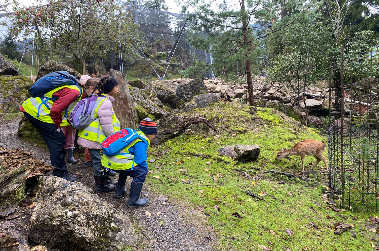 Tierpark-Kindergarten | Natur- und Tierpark Goldau