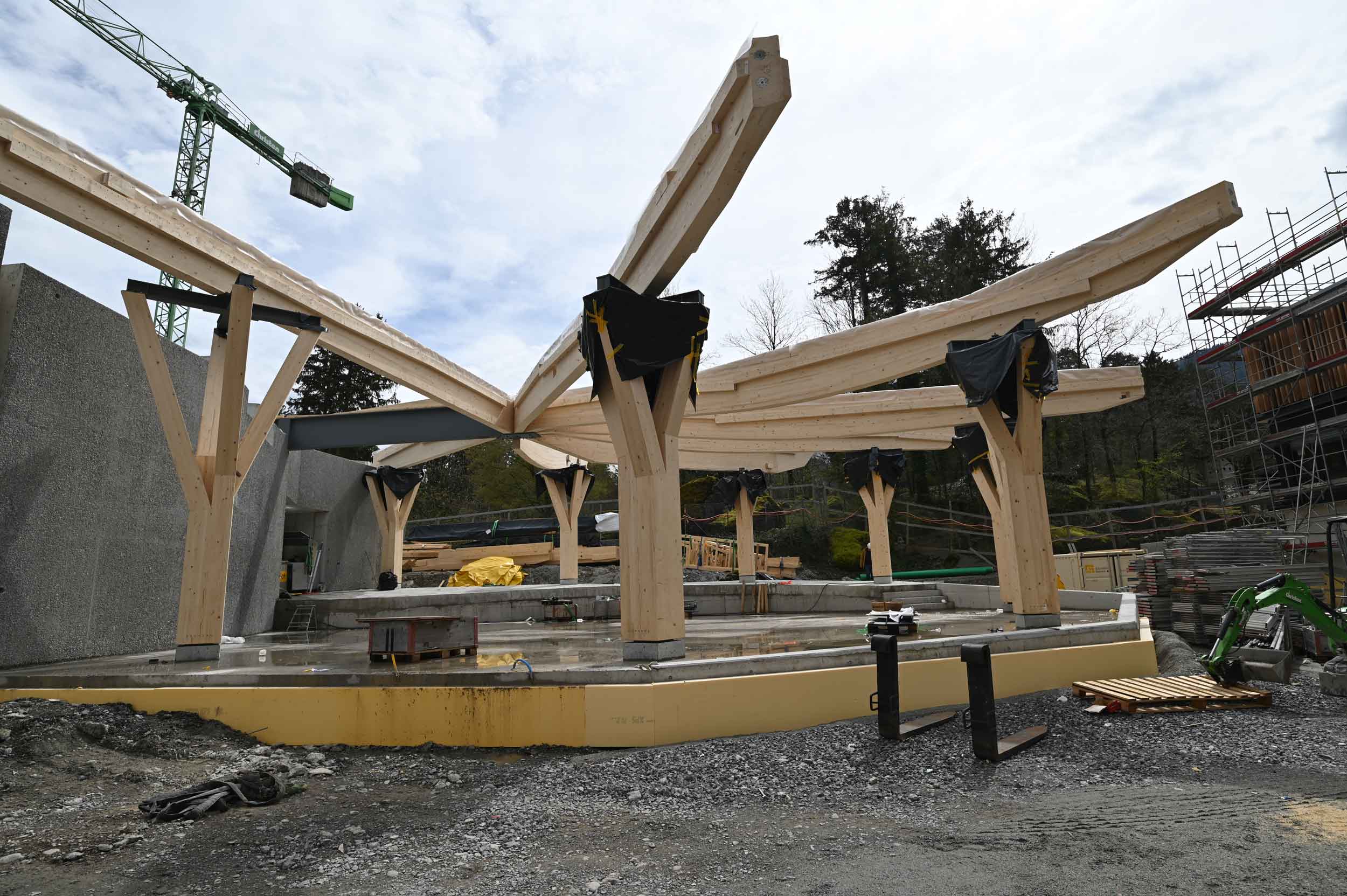 Der Eingang nimmt Form an | Natur- und Tierpark Goldau