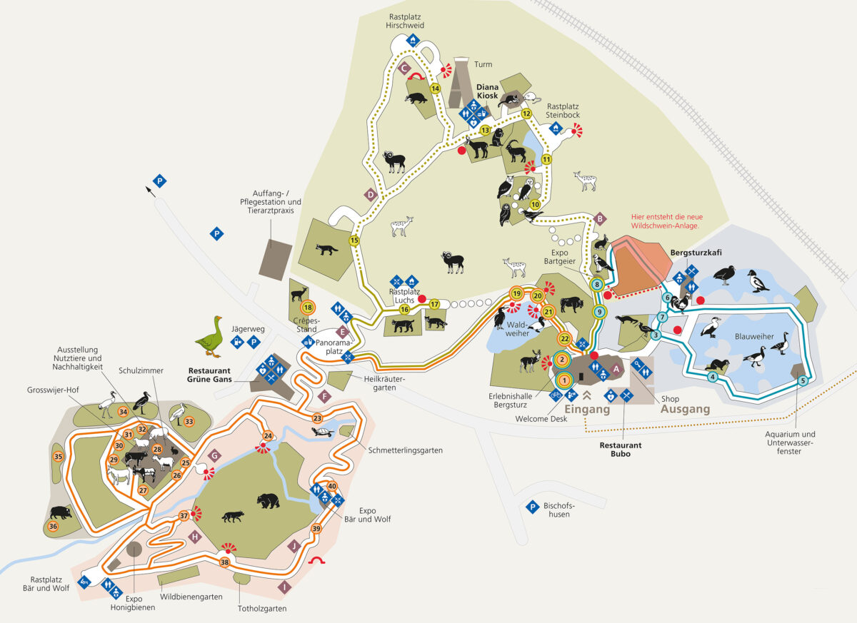 Tierpark-Plan | Natur- und Tierpark Goldau