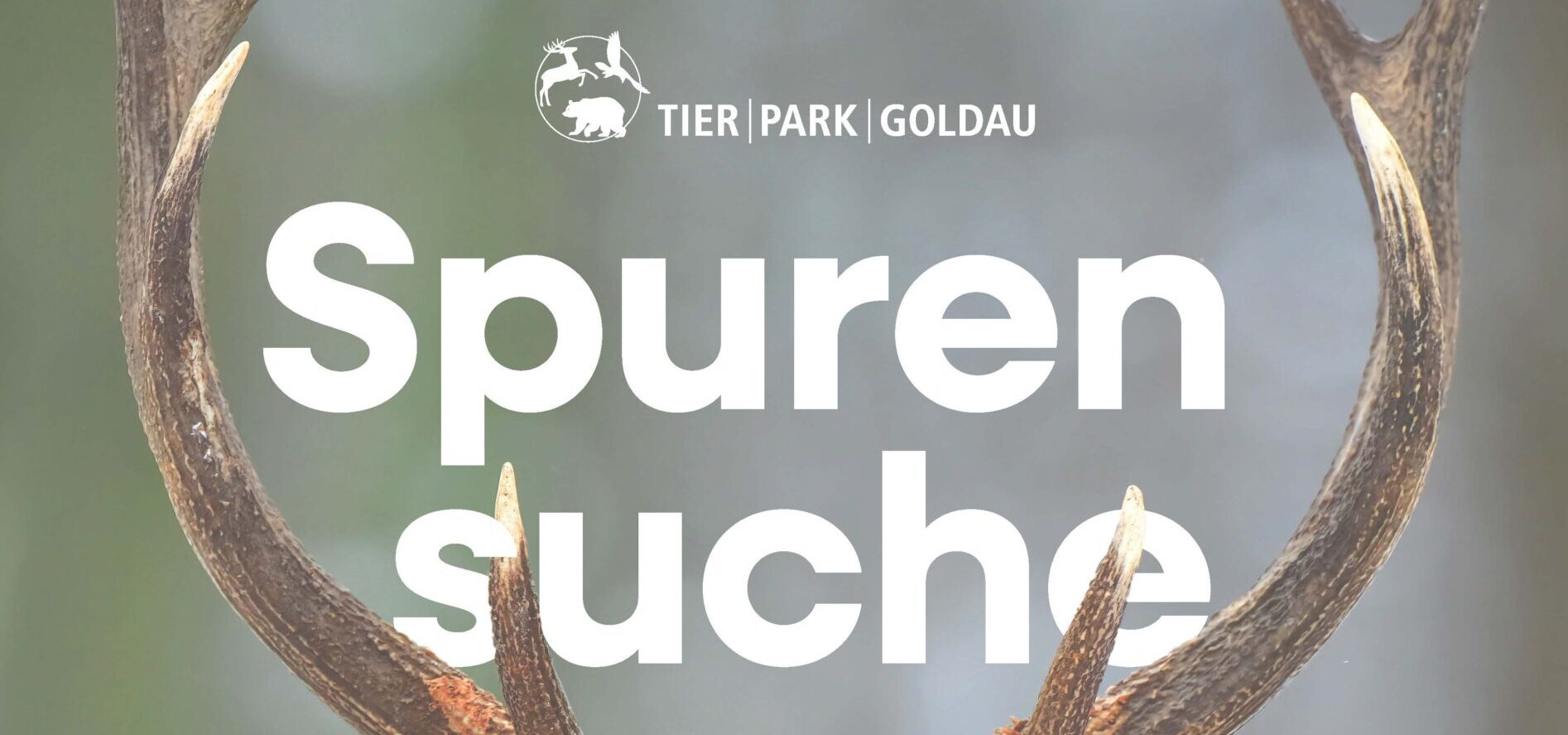 Unser neues Tierpark-Magazin ist da! | Natur- und Tierpark Goldau